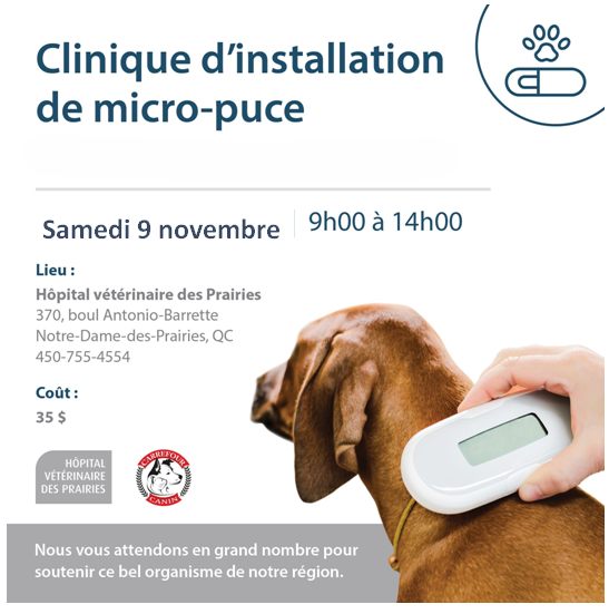 9 novembre : Clinique d'installation de micro-puce | Municipalité de ...